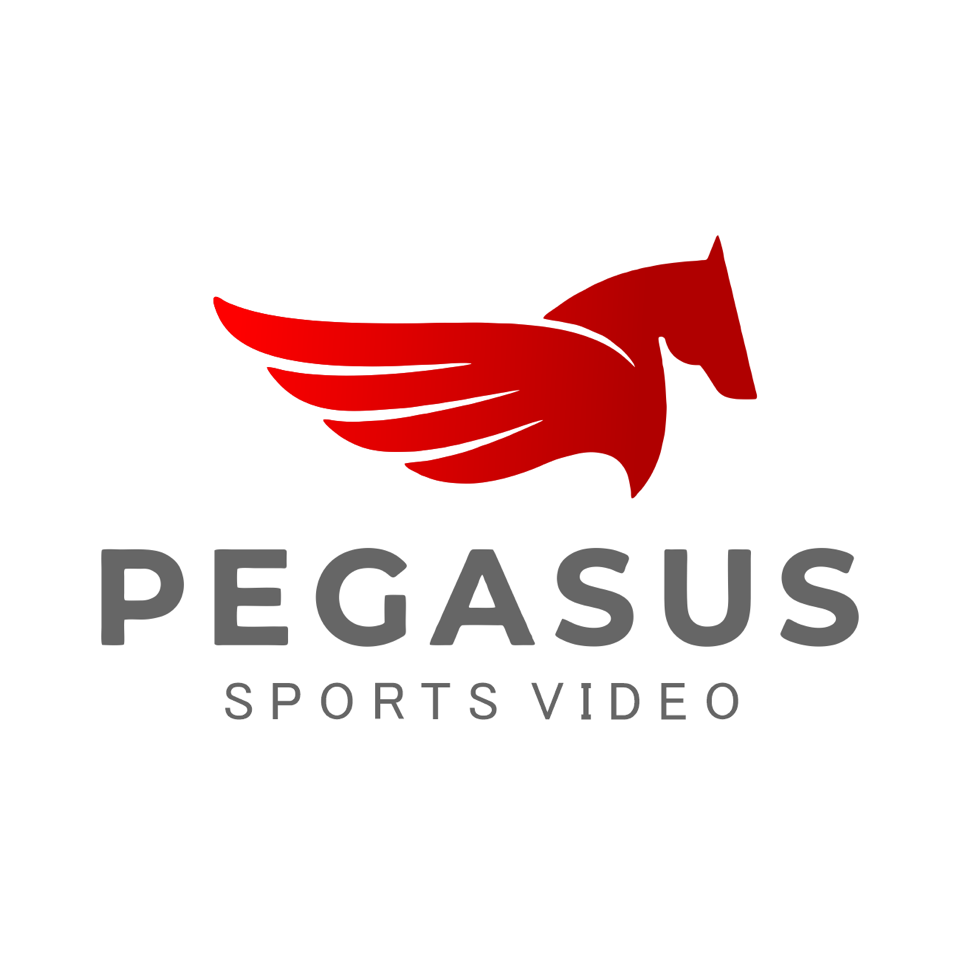 Professional Sports Videography with Pegasus Sports: Elevating Team ...